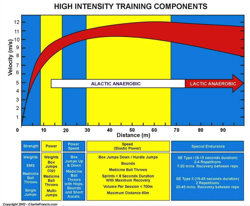 Australian Rules Football: How to Train for Power & Endurance without ...