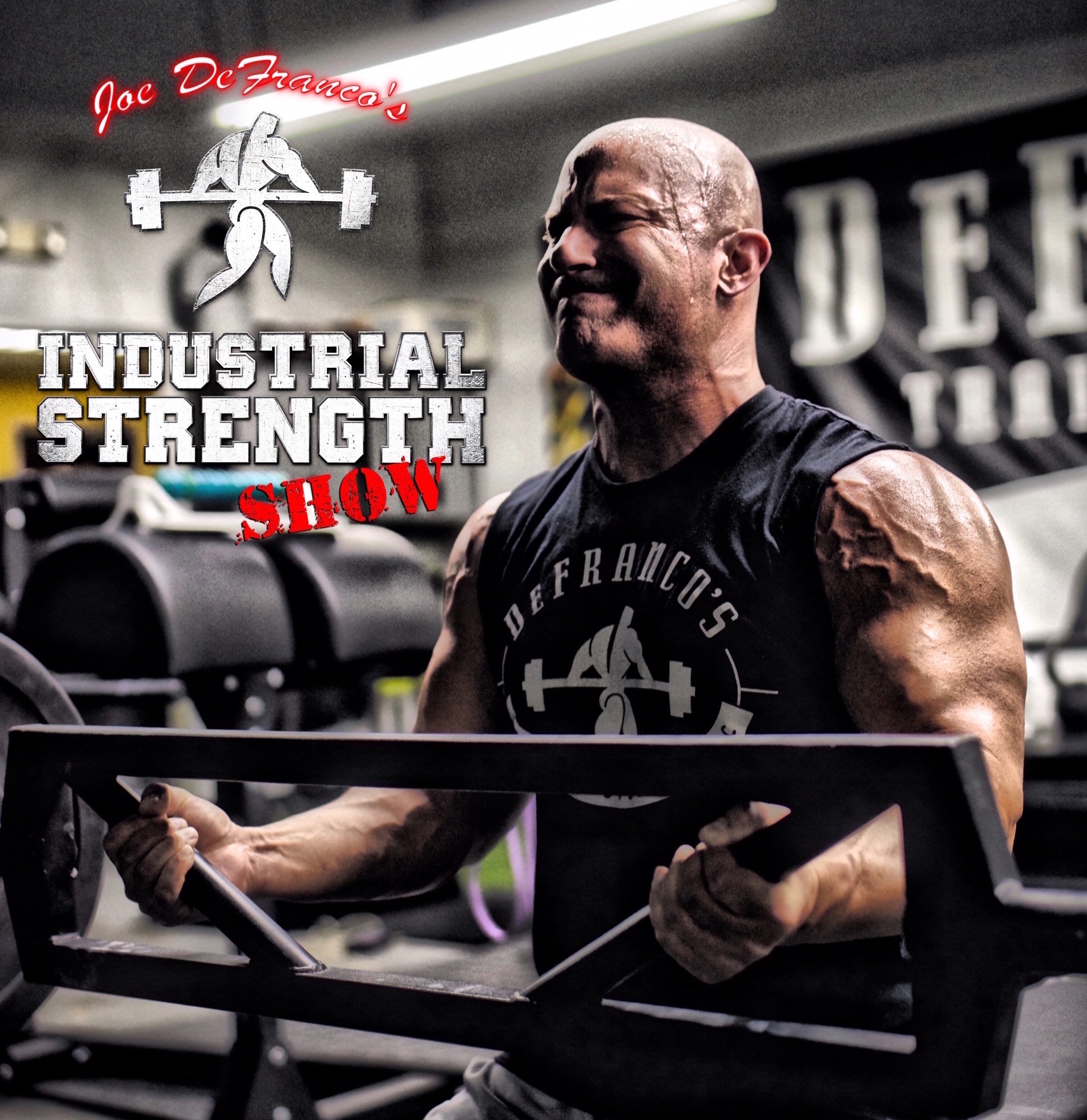 5 Gym Lessons I've Successfully Applied to Life - Official Website of ...